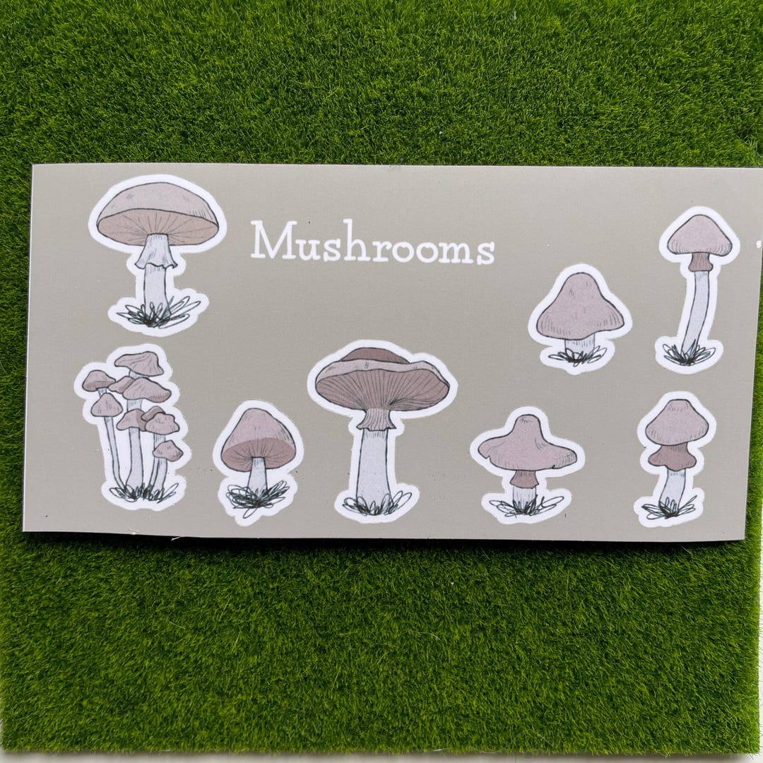 Mushrooms Sticker Sheet | 8 Hand-drawn Matte Fungi Stickers - Etsy