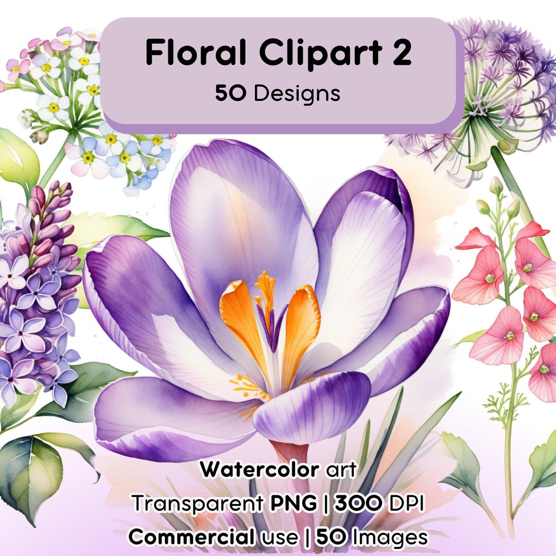 Set of 50 Watercolor Spring Flower Clipart, Transparent PNG 300 DPI ...