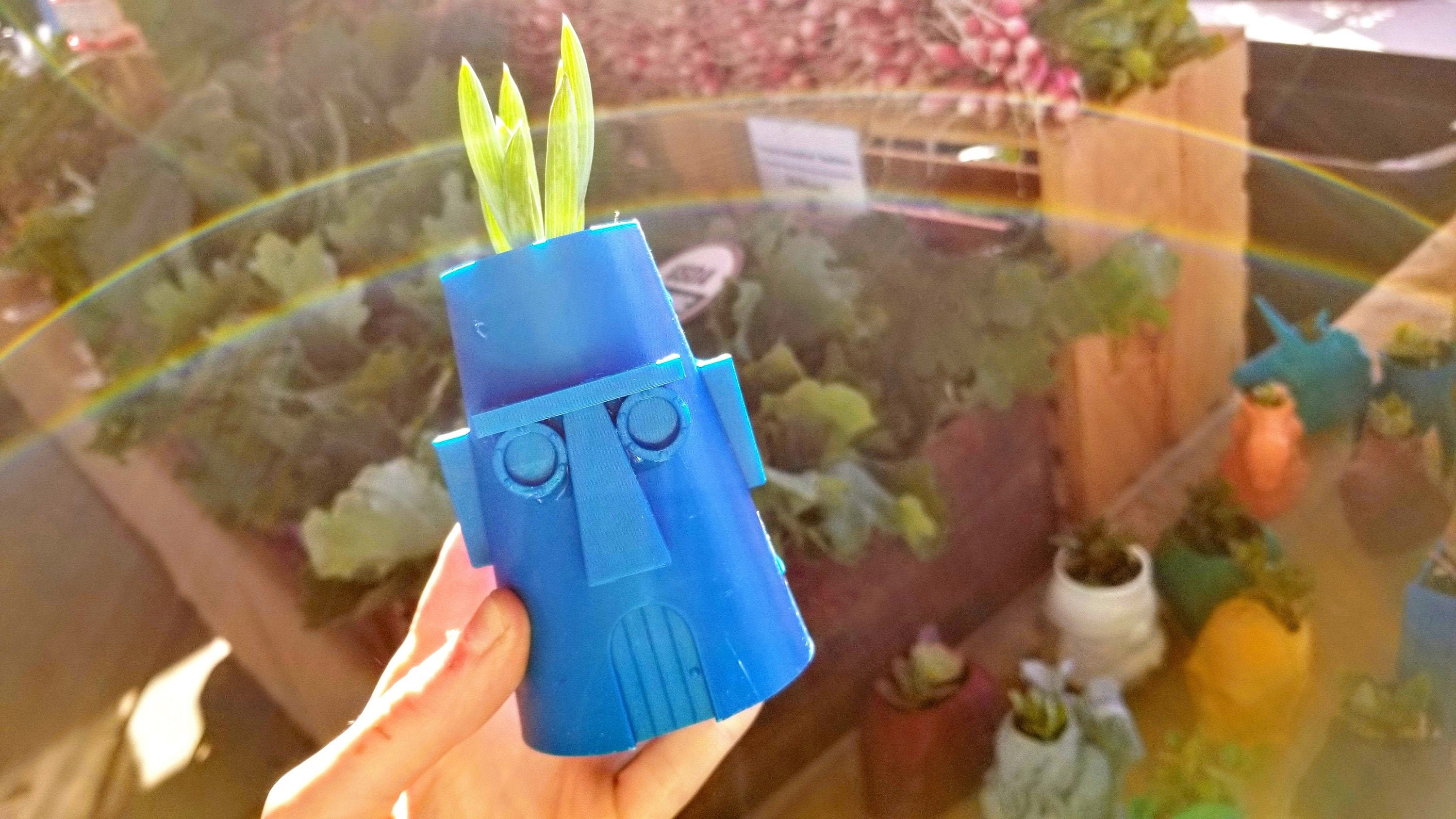 Squidward's House 3D Printed Planter - Etsy