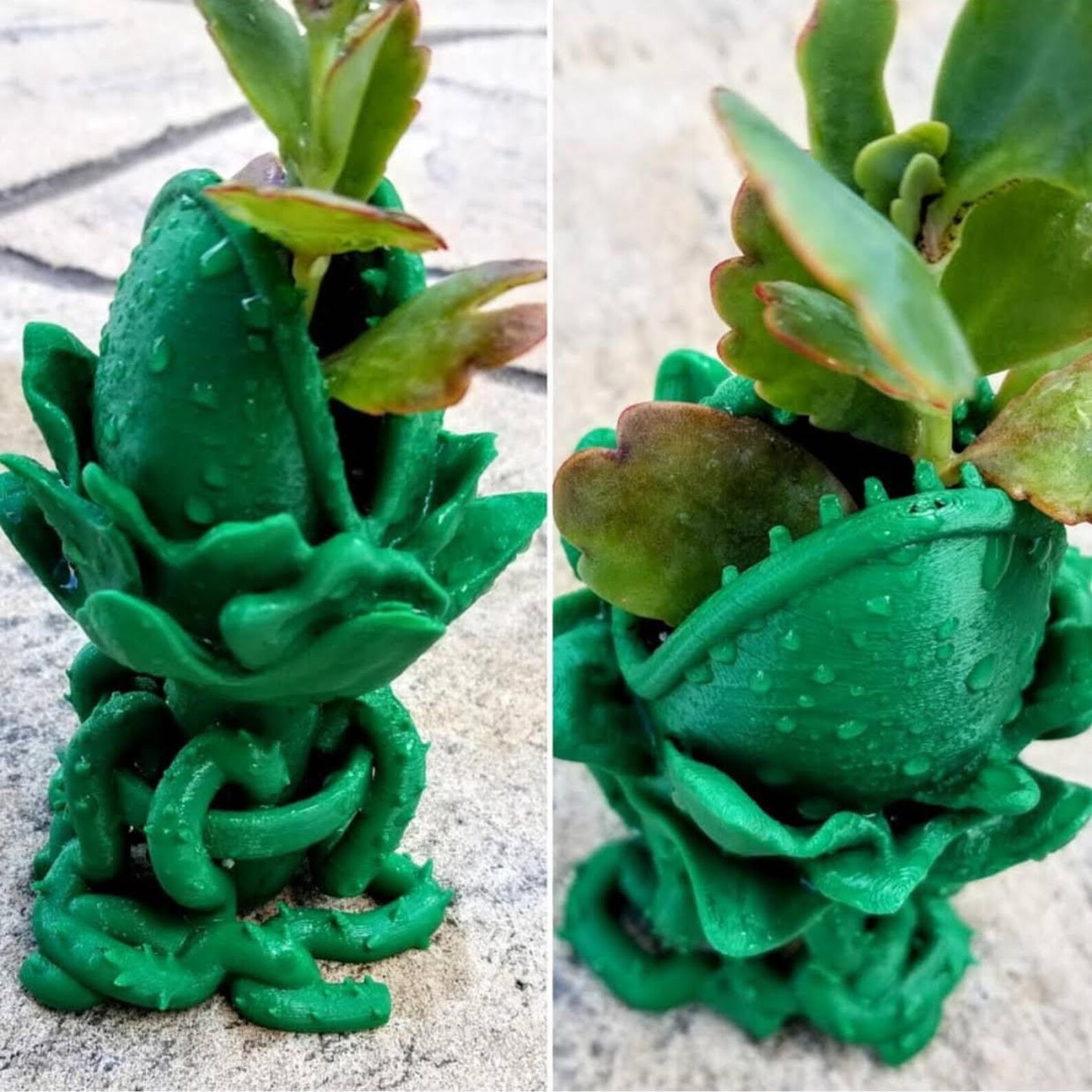 Little Shop of Horrors Audrey II 3D Printed Planter - Etsy