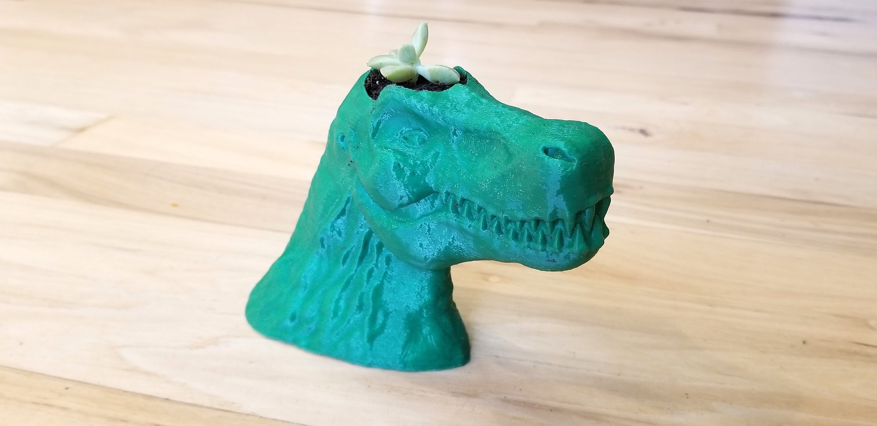 T-rex Dinosaur 3D Printed Planter | Etsy