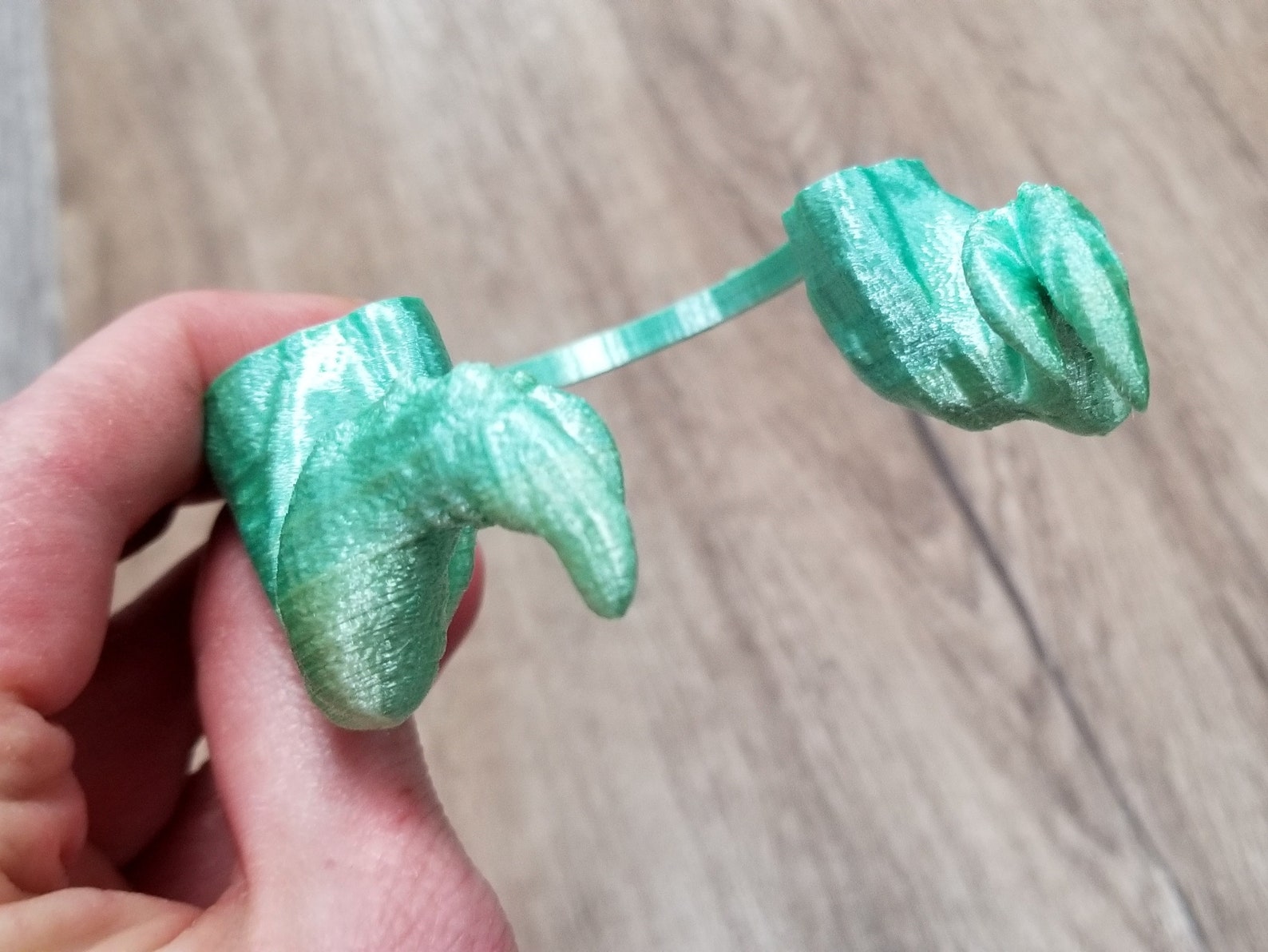 3D Printed T-Rex Dinosaur Arms for Chickens and Roosters | Etsy