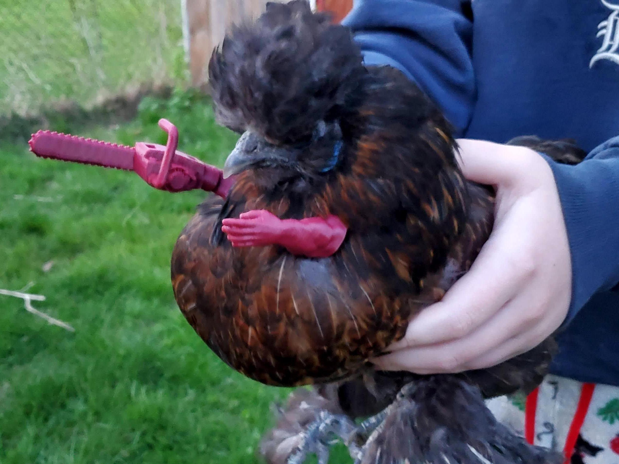 3D Printed Chainsaw Arms for Chickens and Roosters | Etsy