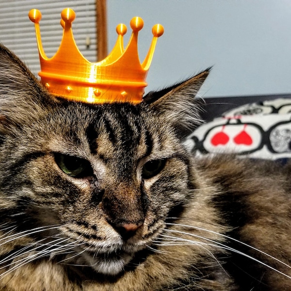 Cat Crown - Etsy