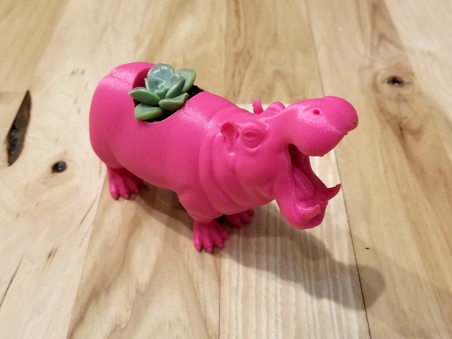 Hippo 3D Printed Planter - Etsy