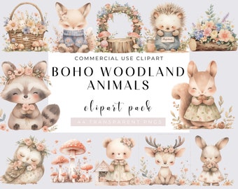 Watercolor Woodland PNG Clipart Transparent Woodland Animals PNG Bundle ...