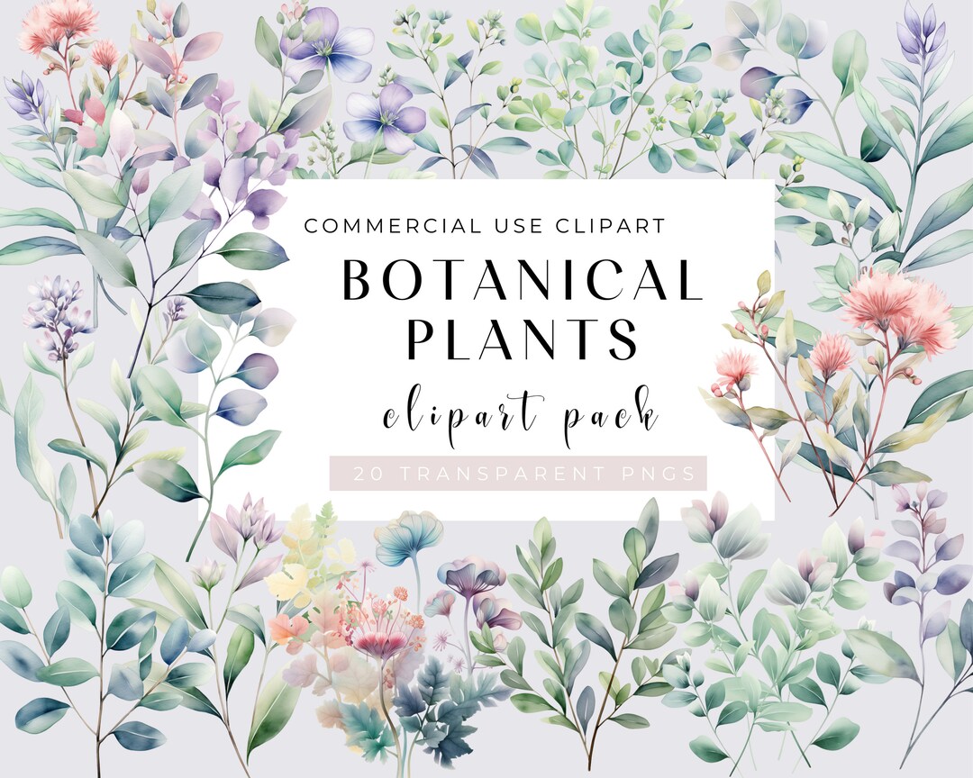 Watercolor Botanical Clipart, Greenery Bundle, Folliage, Wedding ...