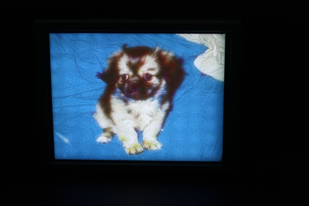 Custom CMYK Lithophane - Personalized 3D Printed Photo in Full Color ...