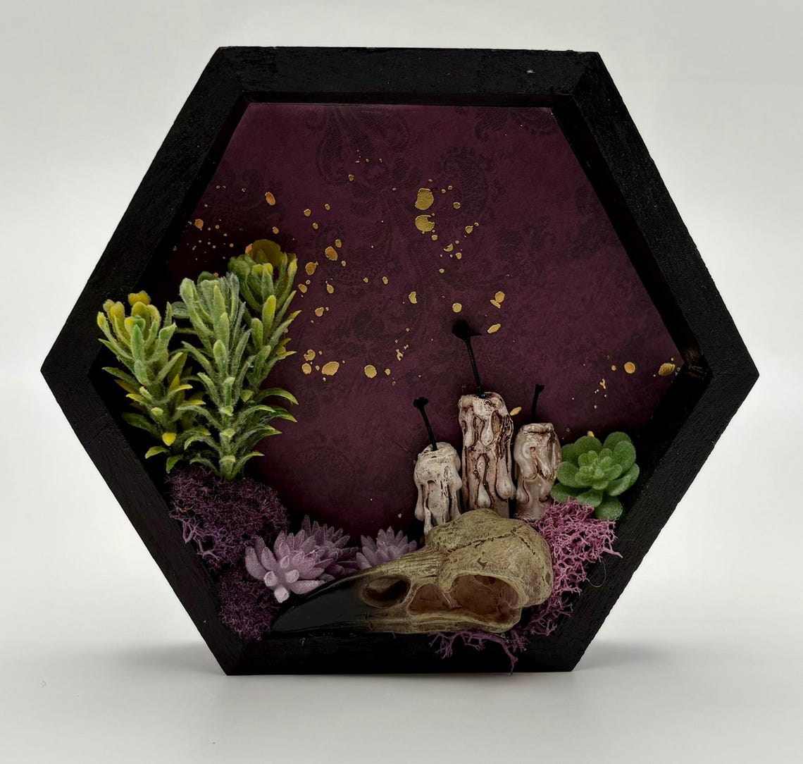 Raven Skull Shadow Box - Etsy
