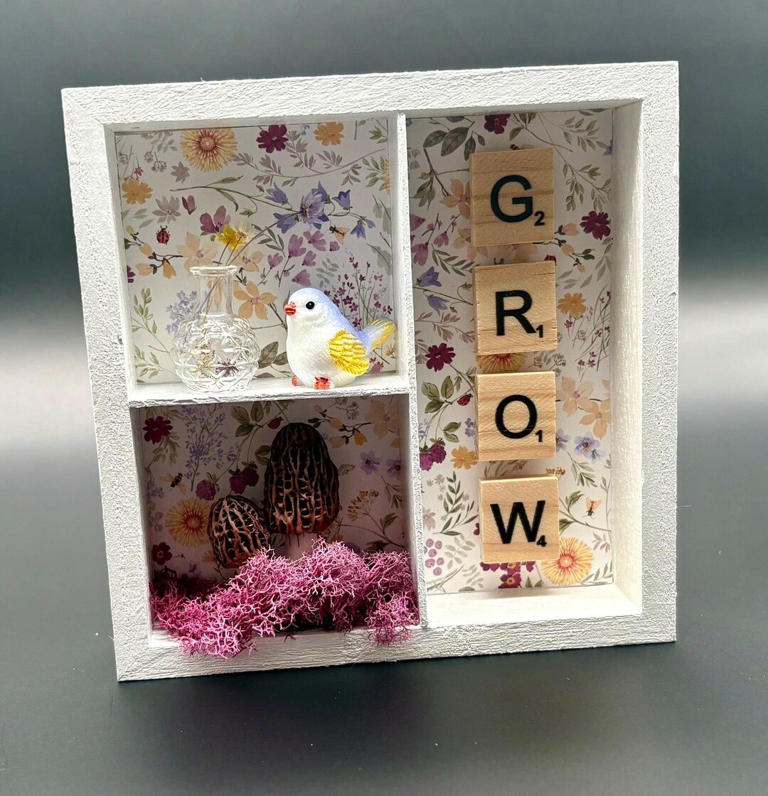 Grow Shadow Box - Etsy