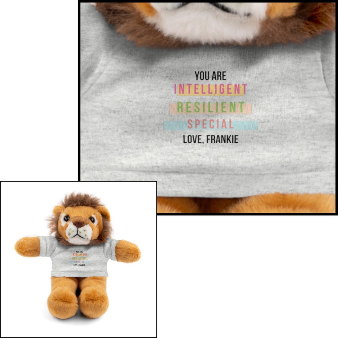 Personalized Positive Affirmation Stuffed Animal Plushie - Etsy