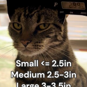 General Bimbus Cat Helmet [physical Product] - Etsy