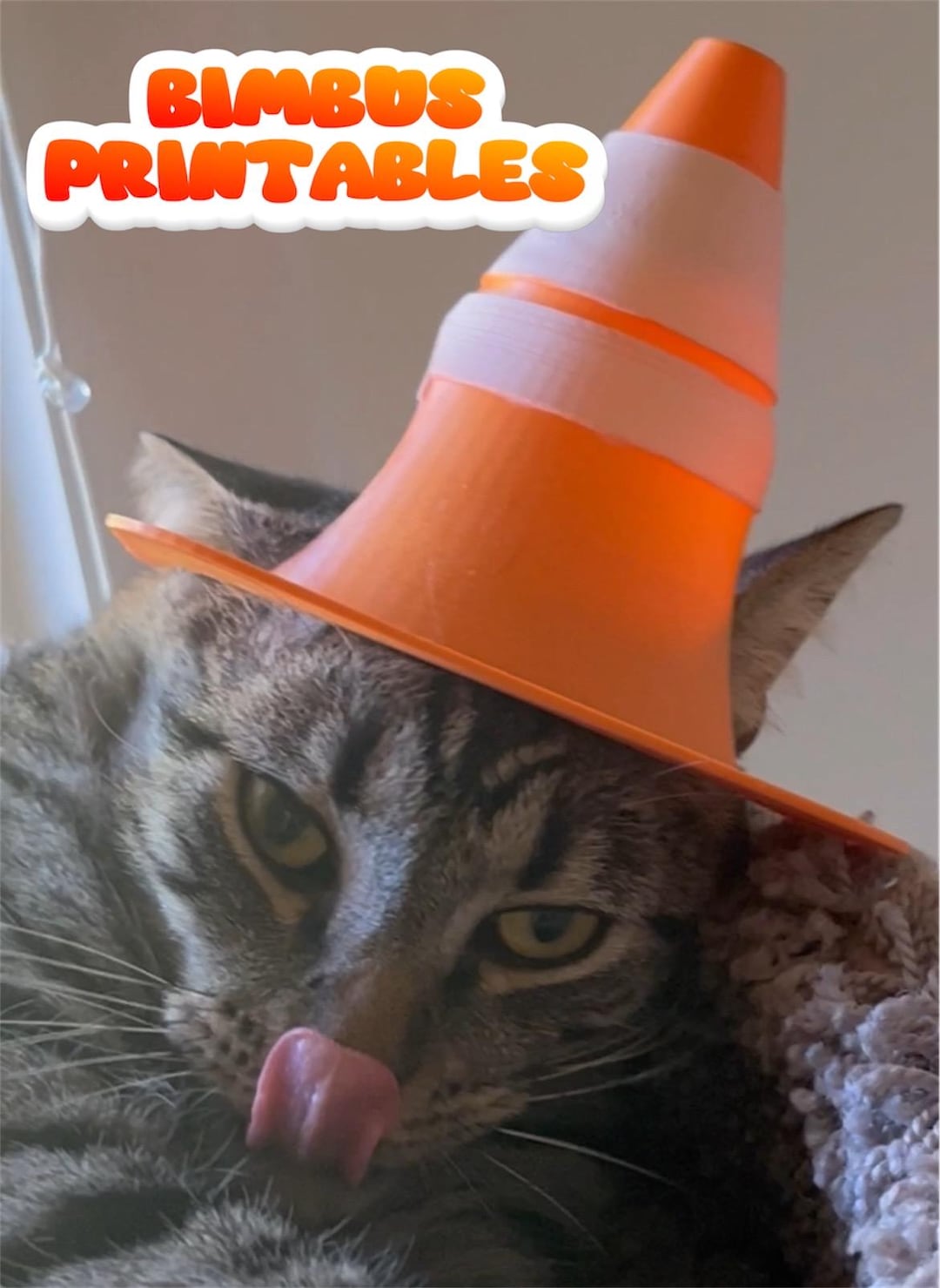 Traffic Cone Cat Hat [digital STL Download] - Etsy