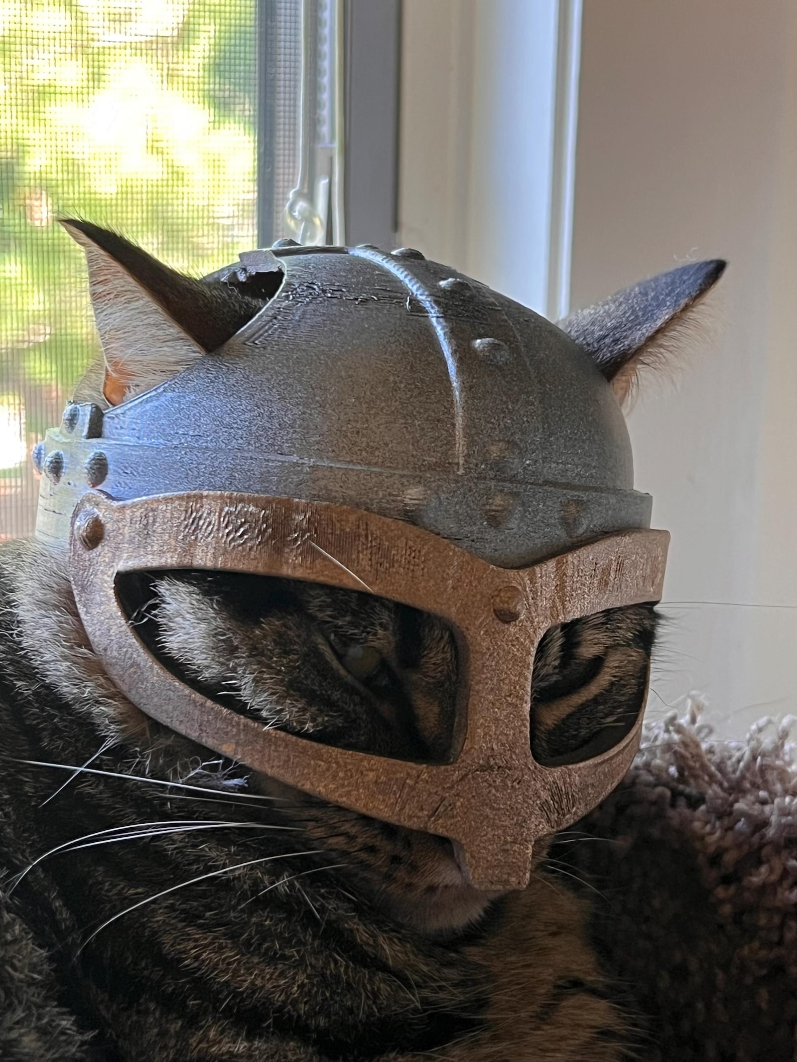 Viking Cat Helmet [digital STL Download] - Etsy