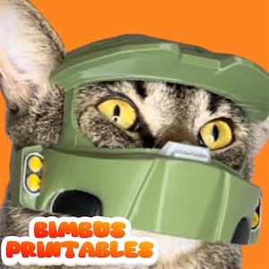 Master Bimbus Cat Helmet - Etsy