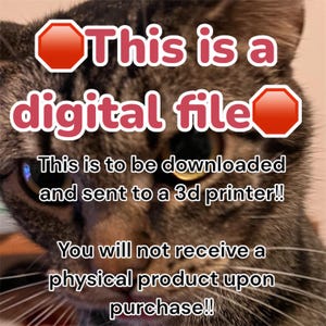 Shark Cat Hat [digital STL Download] - Etsy