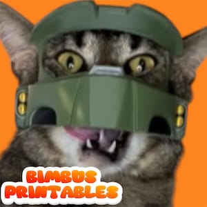 Master Bimbus Cat Helmet - Etsy