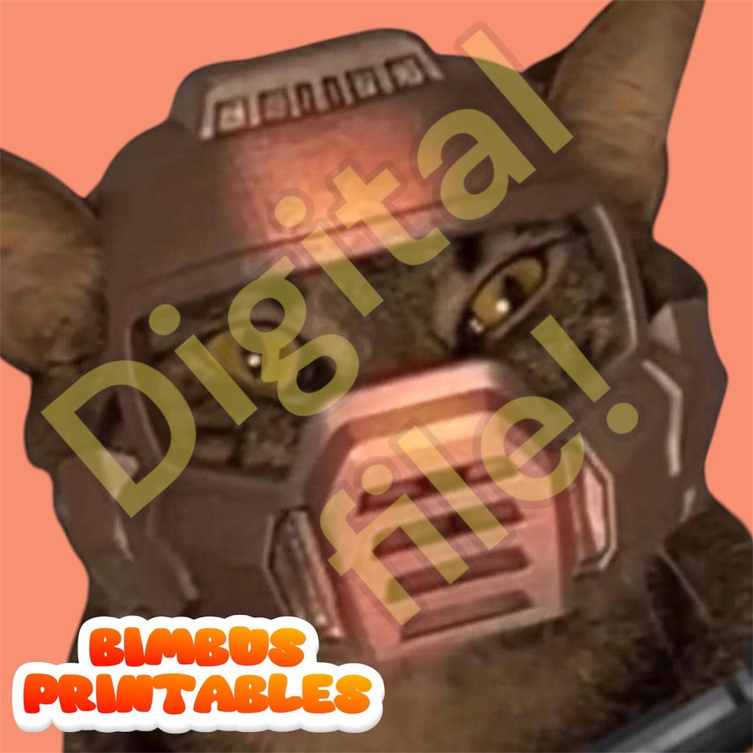 Old Bimbus the Slayer Cat Helmet [digital STL Download] - Etsy