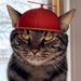 Propeller Cat Cap - Etsy