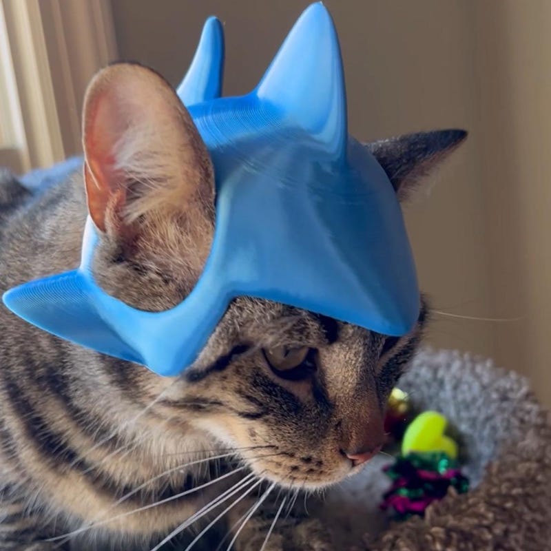 Cat Shark Hat - Etsy
