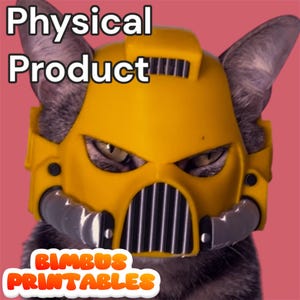 Spacebimbus Cat Helmet Mark VIII [physical Product] - Etsy