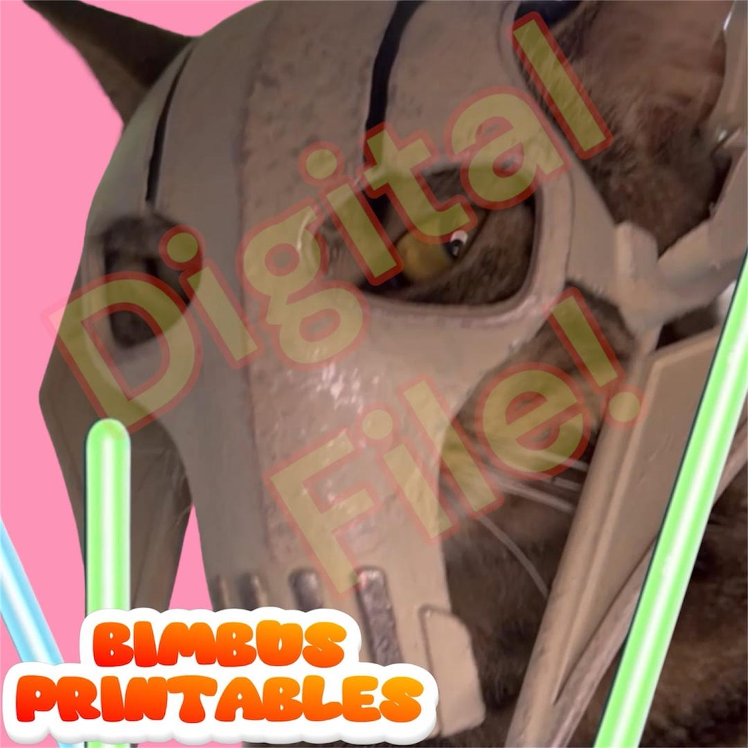 General Bimbus Cat Helmet [digital STL File] - Etsy