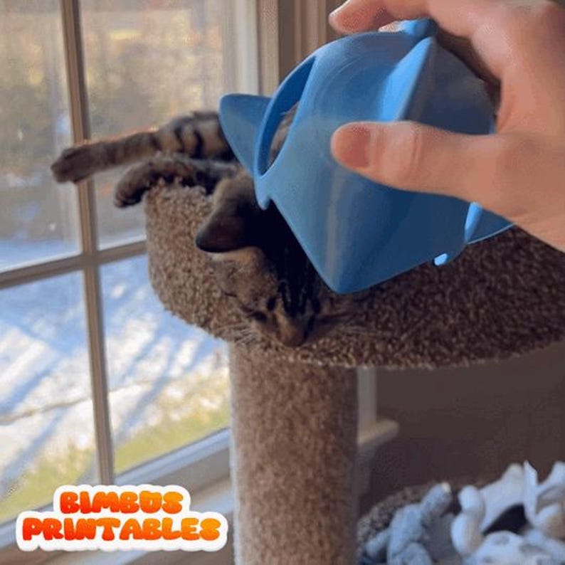 Shark Cat Hat [digital STL Download] - Etsy