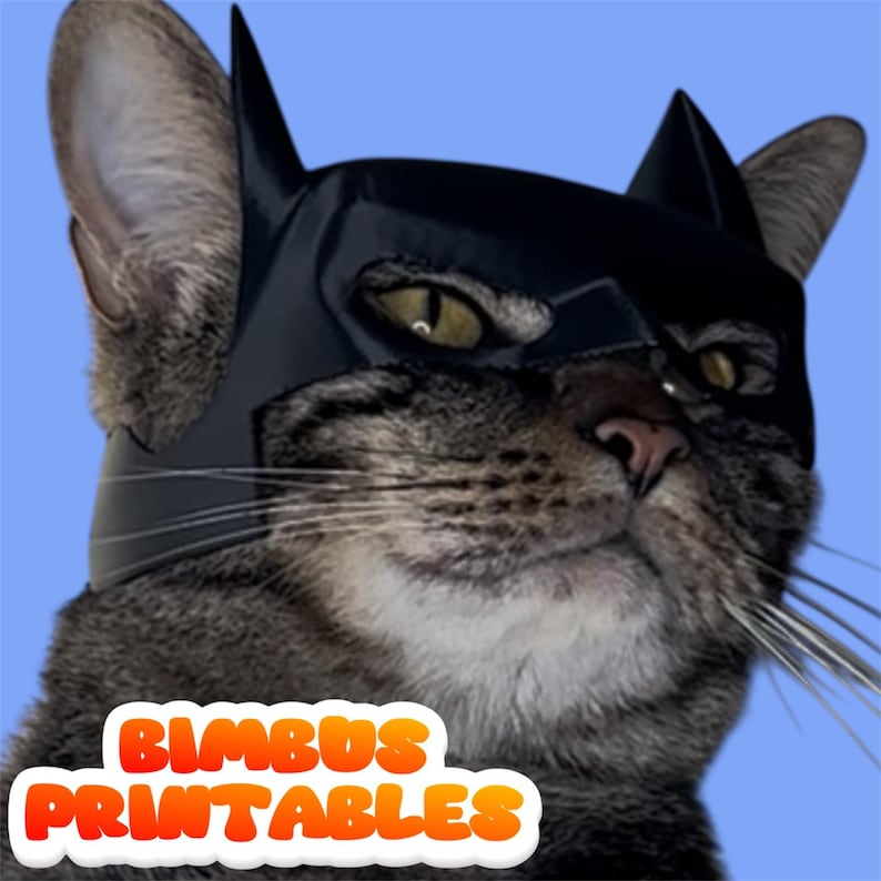 Batbimbus Cat Hat [physical Product] - Etsy