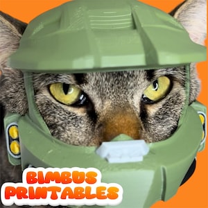 Master Bimbus Cat Helmet - Etsy