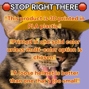 Atomic Fallout Bimbus Cat Helmet [physical Product] - Etsy