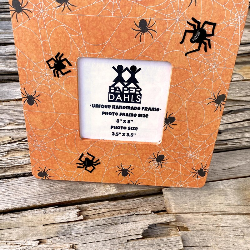 Framed Spider Web - Etsy