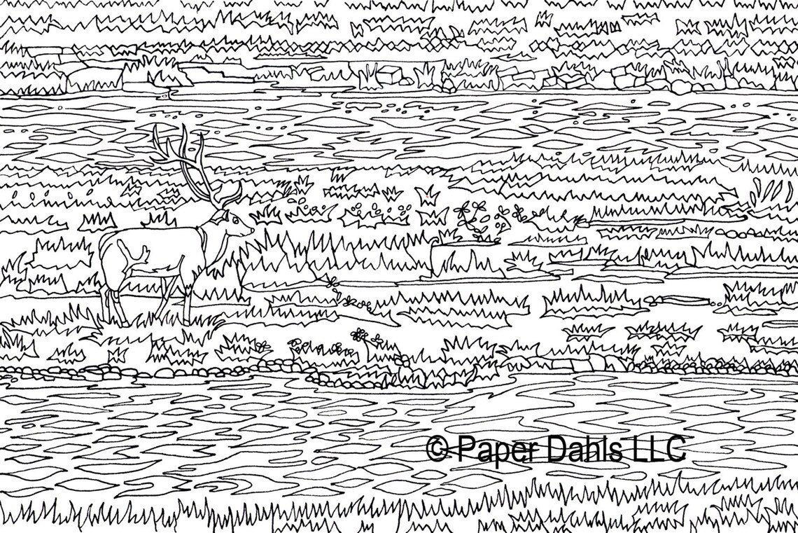 Yellowstone Elk Handdrawn Adult Coloring Page Yellowstone - Etsy
