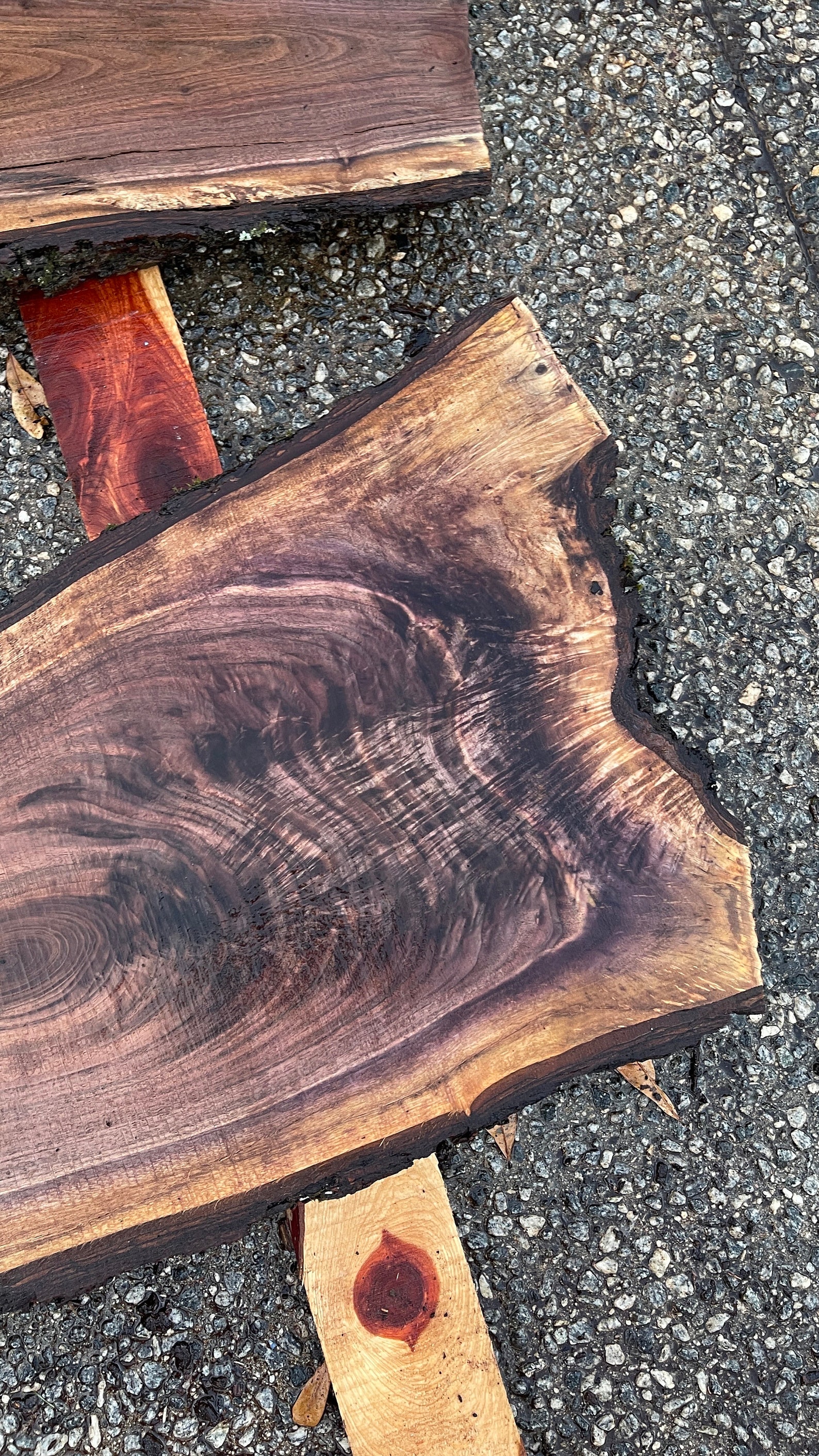 Black Walnut Slabs Vacuum Kiln Dried Flattened - Etsy