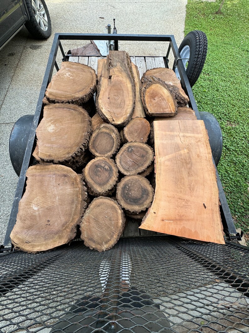 Black Walnut Wood Cookies/rounds/crosscuts kiln Dried - Etsy