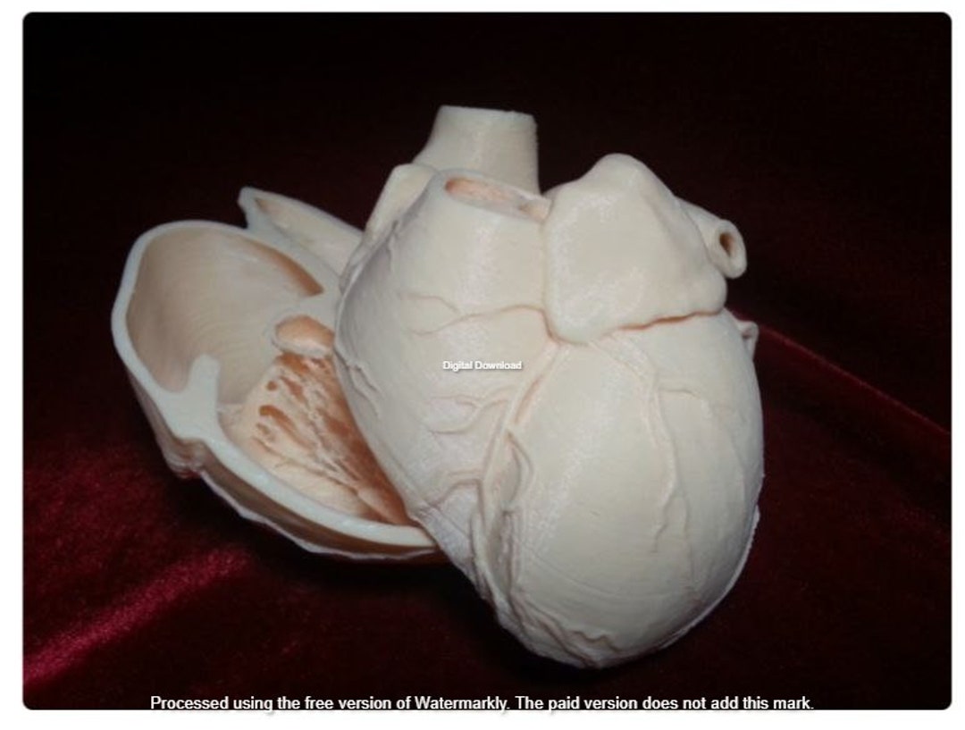 Heart Model STL, Heart 3D Model, Heart 3D Print Files, Heart Miniature ...