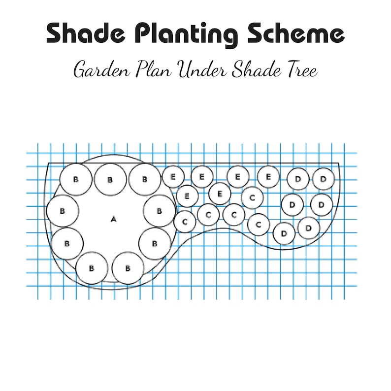 Shade Planting Scheme, Garden Plan Under Shade Tree, Tree Base ...