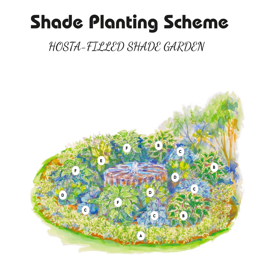 Shade Planting Scheme, Hosta-filled Shade Garden Plan, Garden Plan ...