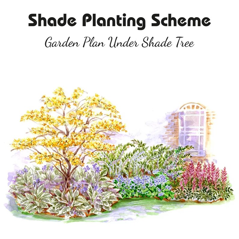 Shade Planting Scheme, Garden Plan Under Shade Tree, Tree Base ...