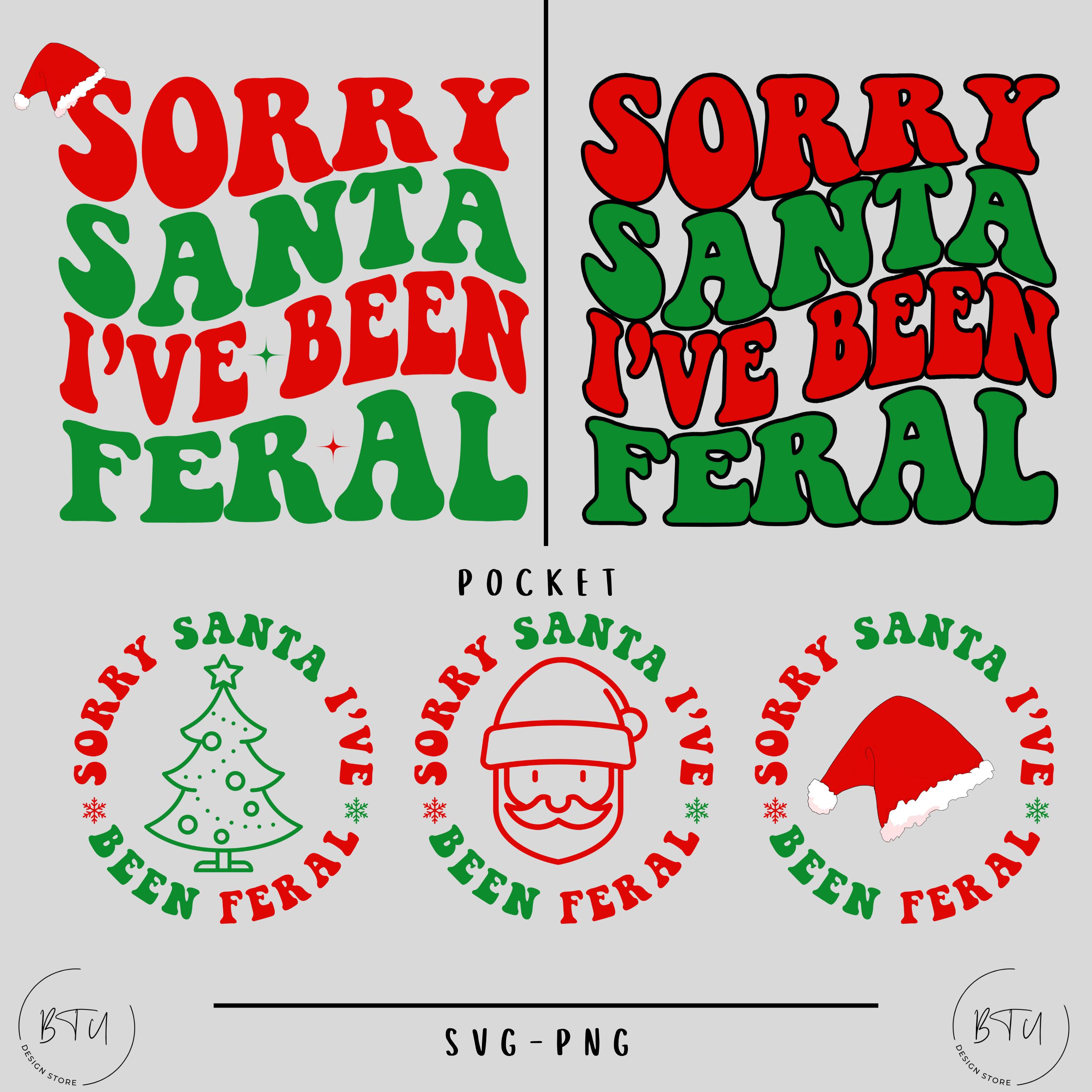 Sorry Santa I've Been Feral Svg-png, Christmas Family Svg, Funny ...