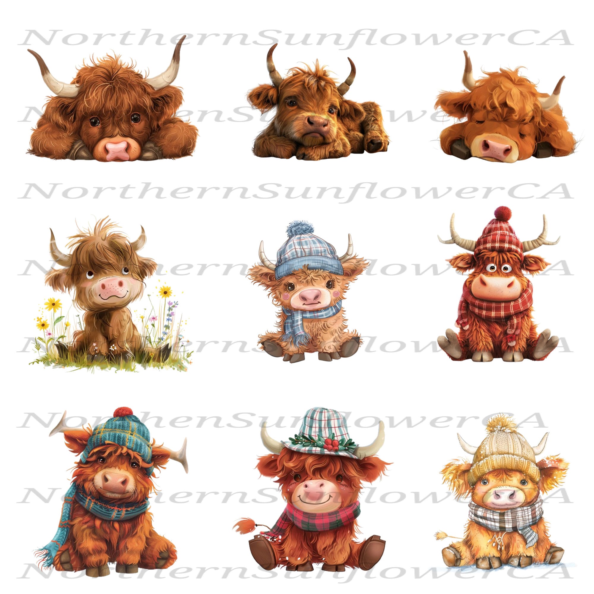 Highland Cows, PNG Clipart Bundle, Transparent, Art, Instant Digital ...
