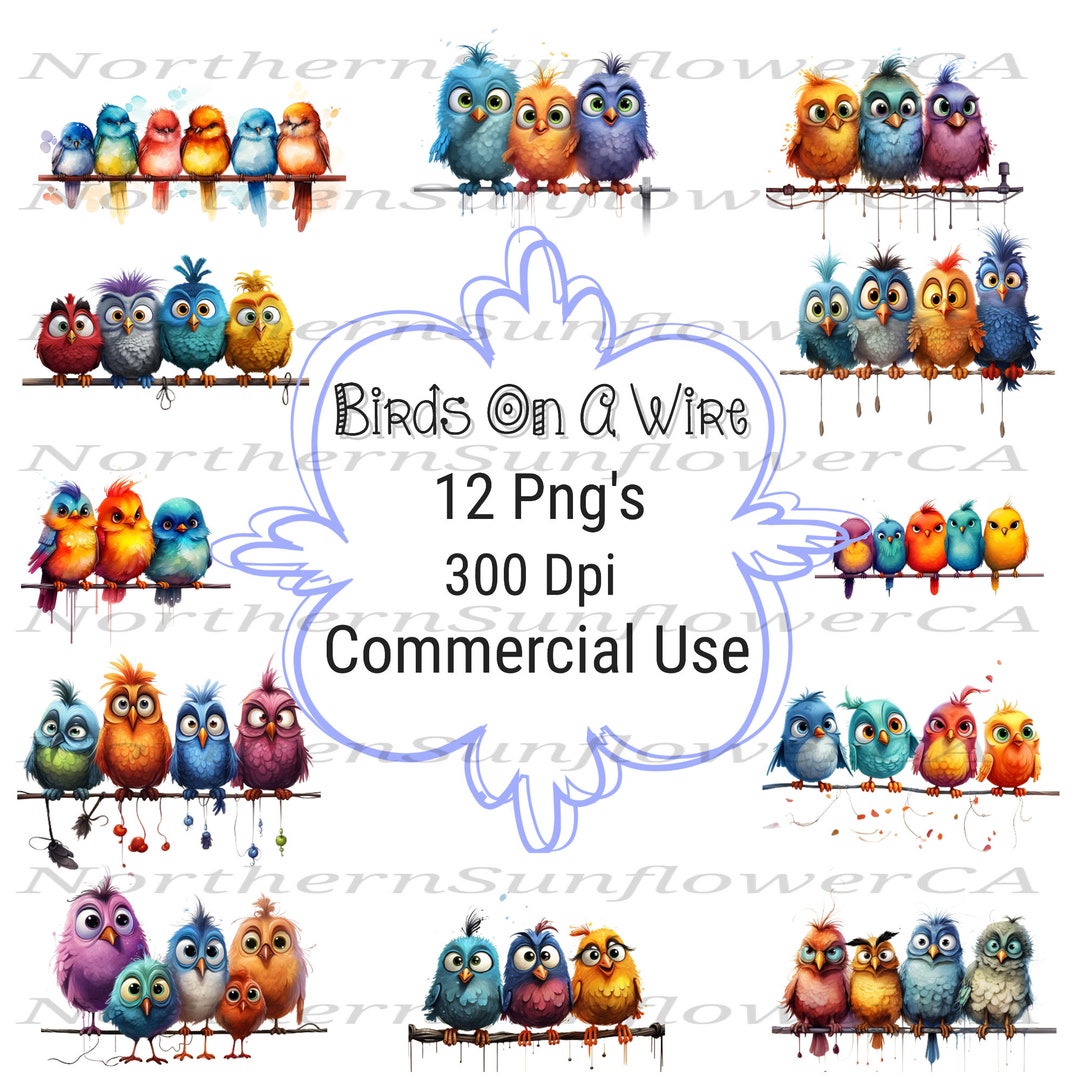 Birds on A Wire Clipart Bundle: Whimsical PNG Graphics (digital ...
