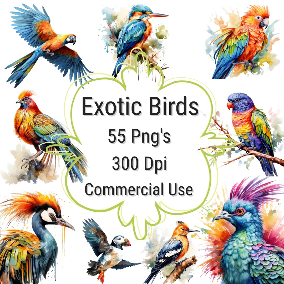 Watercolor Exotic Birds Clipart, Tropical Parrot PNG Bundle, Vibrant ...