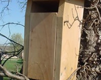 Bluebird House - Etsy