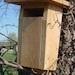 Bluebird Bird House, Slotted Entrance, Sparrow Resistant - Etsy