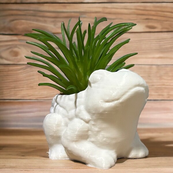 Frog Planter - Etsy