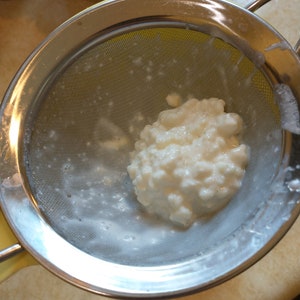 Organic Milk Kefir Grains With Starter Guide - Etsy