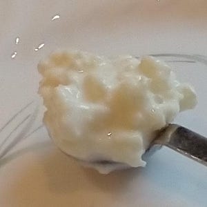 Organic Milk Kefir Grains With Starter Guide - Etsy
