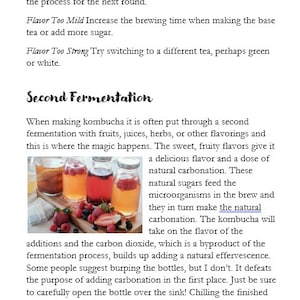 Organic Kombucha SCOBY With Starter Guide - Etsy