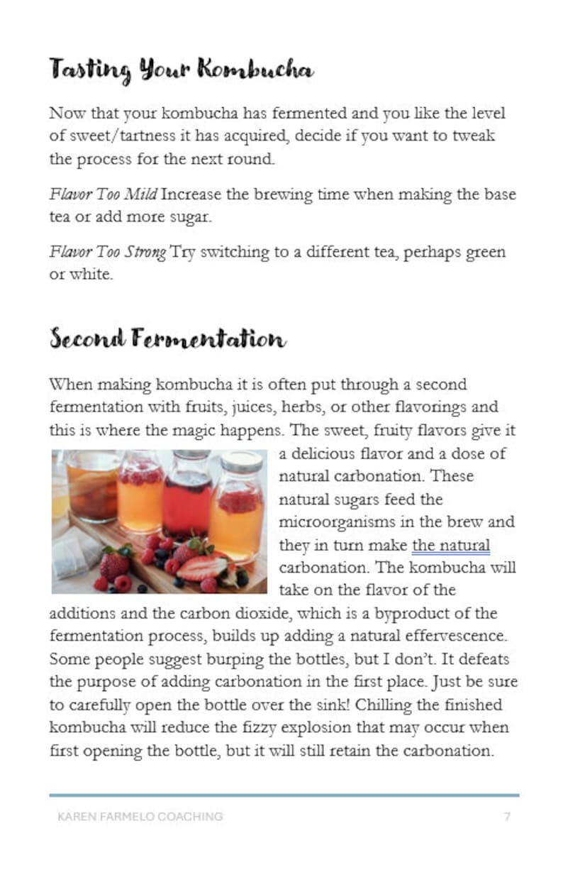 Organic Kombucha SCOBY With Starter Guide - Etsy