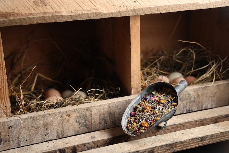 Aunt Judy's Chicken Nesting Box Herbs -simplicity Blend - Etsy
